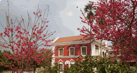 Mission and Philosophy | Rato Bangala School