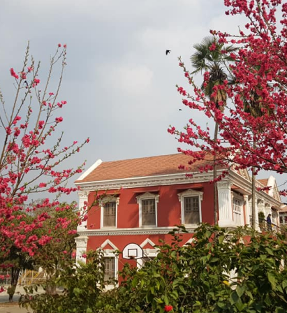 Contact Us | Rato Bangala School